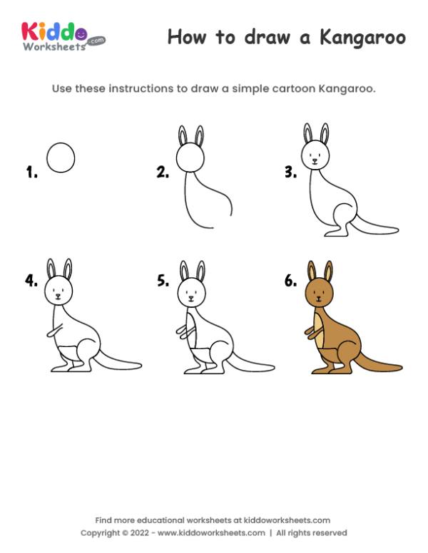 how to draw a kangaroo in steps